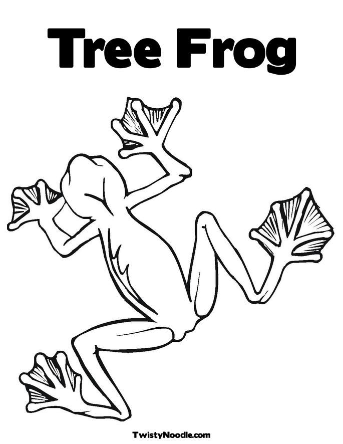 Kids Page: - Tree Frog Outline Coloring Pages