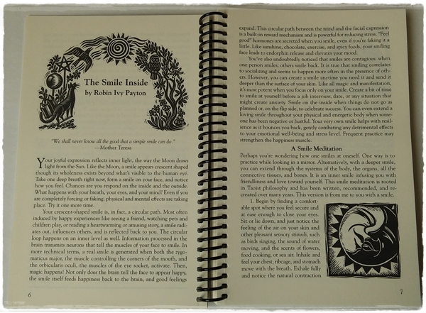 Bohemianess Book Review Llewellyns Witches Datebook 2017