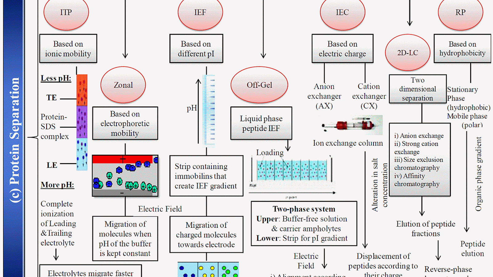 Protein Concentration Determination Methods Protein Choices