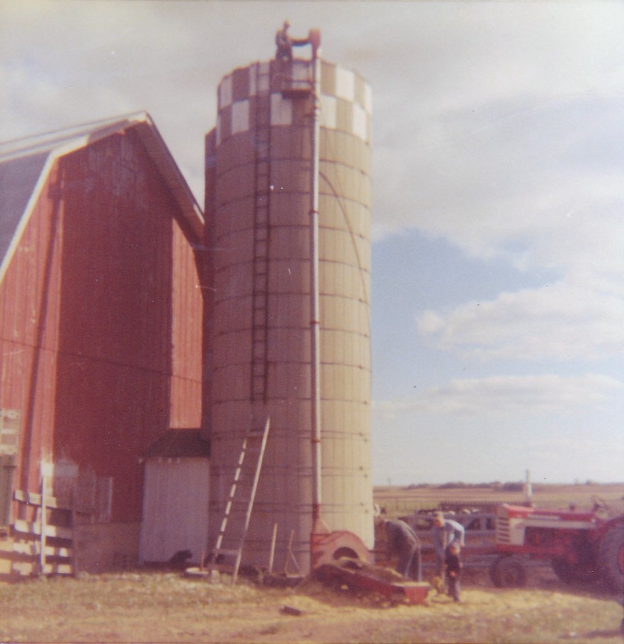 My Barnyard View: The Lifecycle of a Silo