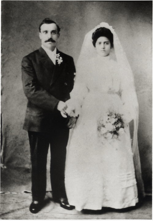 The Jungle with Mr. Carty: Aug 21, 2011