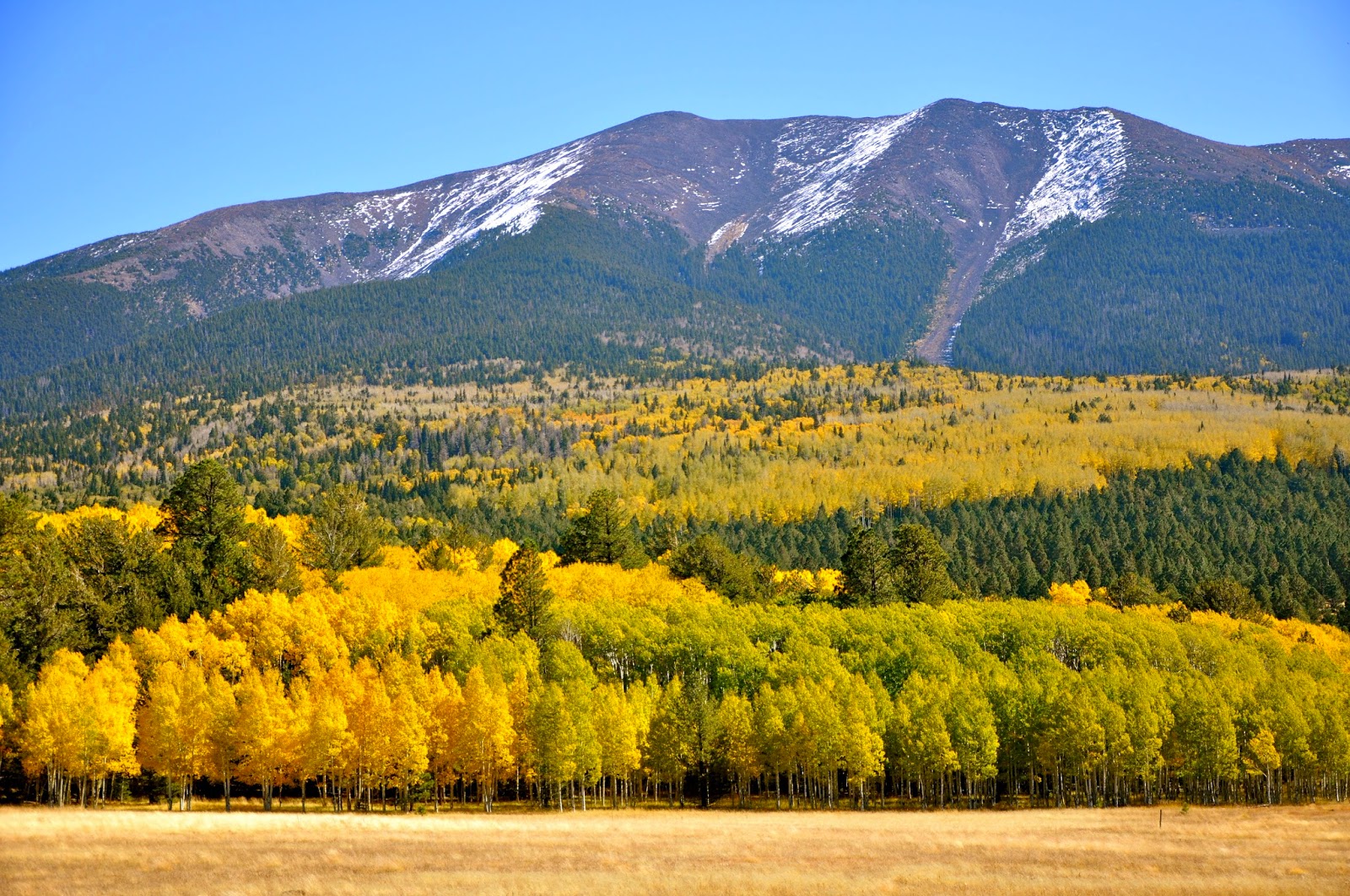 Finding Arizona: Beautiful Hart Prairie