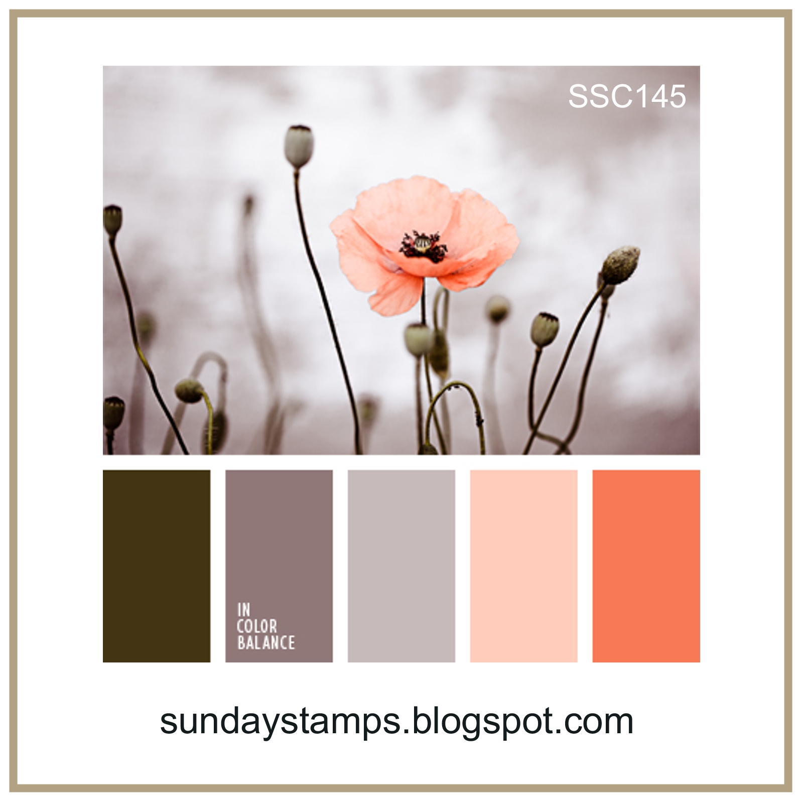 Twinkling Paper Studio: Sunday Stamps Challenge #145