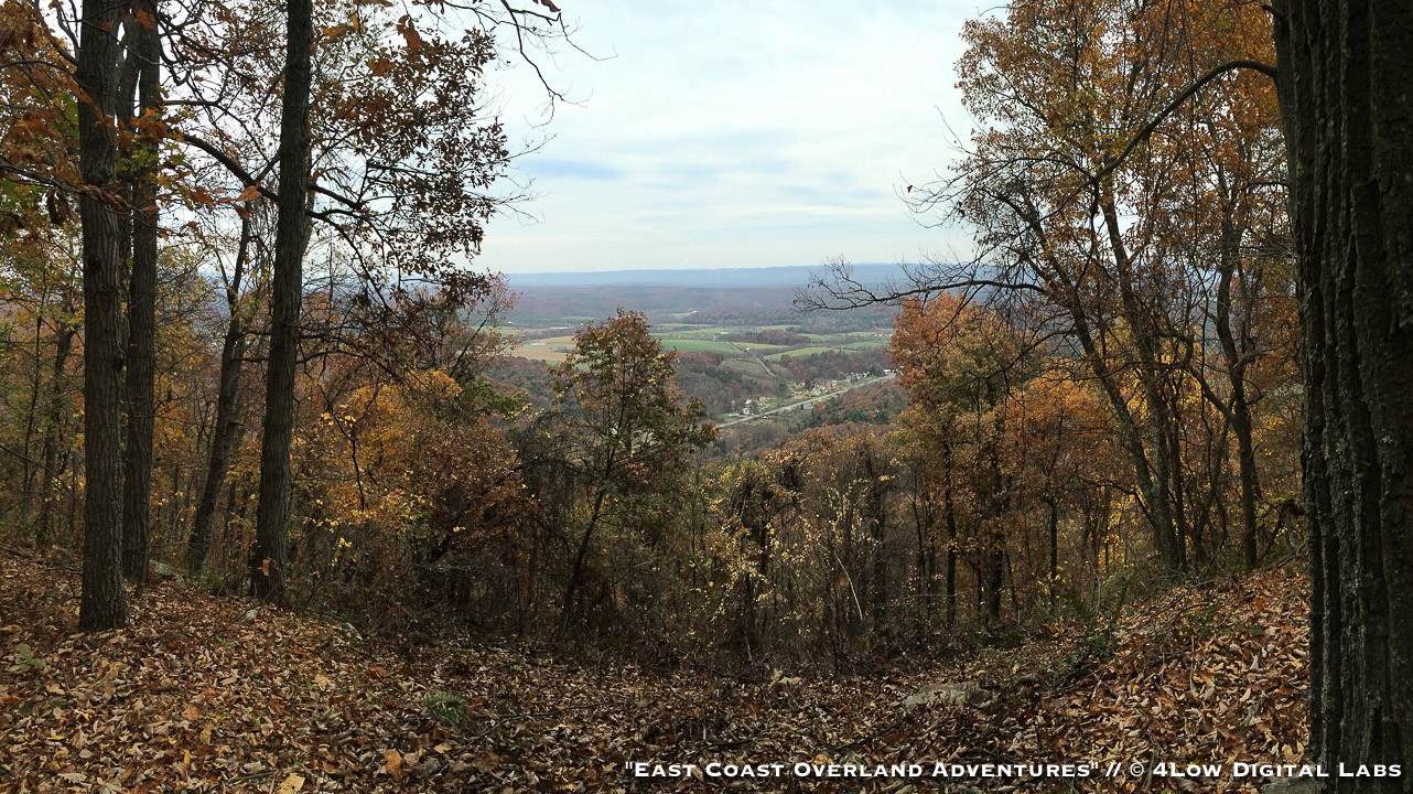 Trip Report: Exploring Buchanan State Forest (Take 1) – East Coast ...