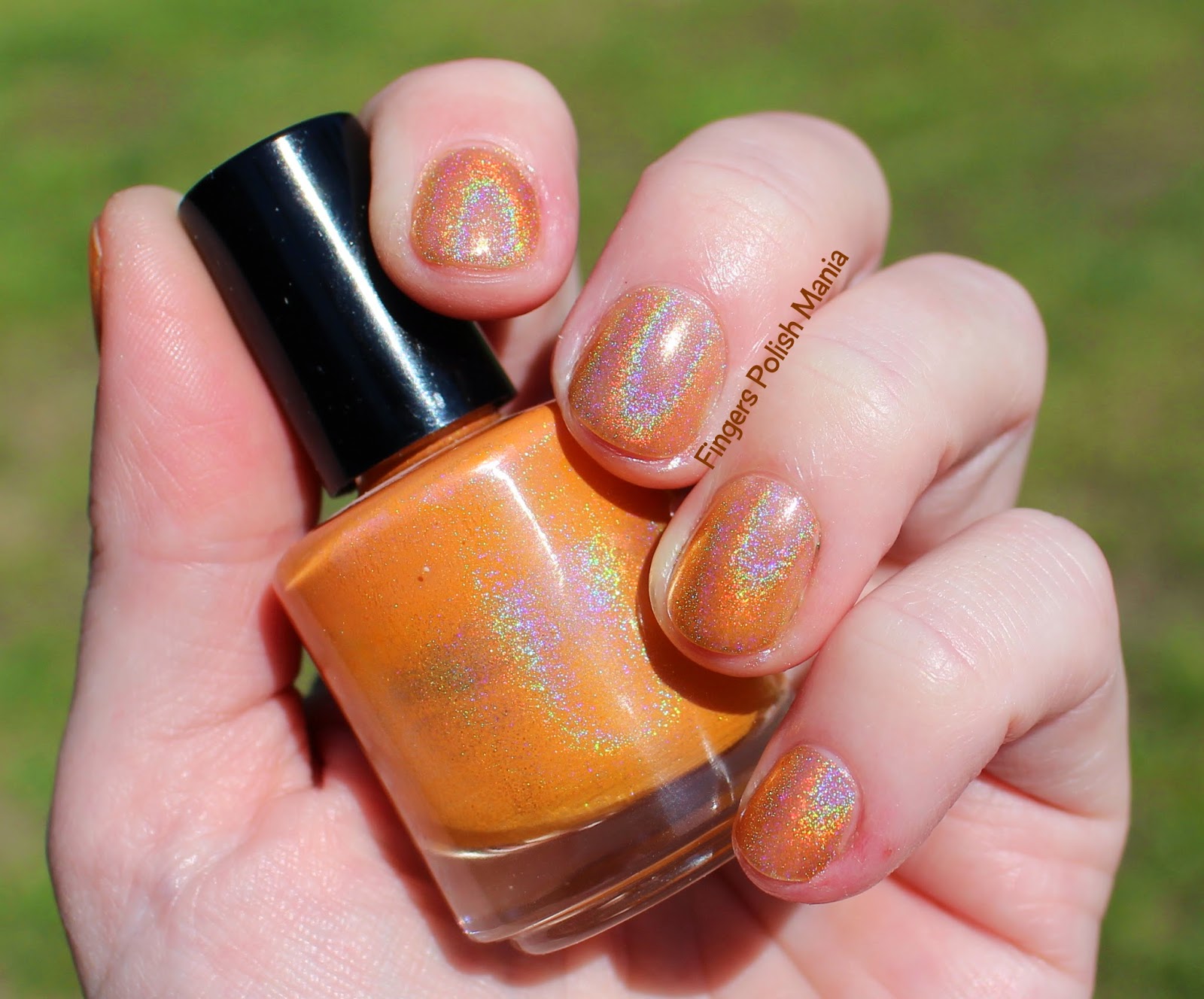 fingers polish mania: Orange Holo Fest-EP Citric Acid Trip