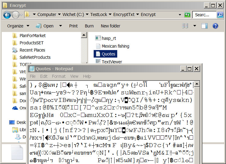 ฮาร์ดล็อค, Hardlock, Software Protection,Sentinel, การป้องกันลิขสิทธิ์ซอฟต์แวร์: Data Encryption ...