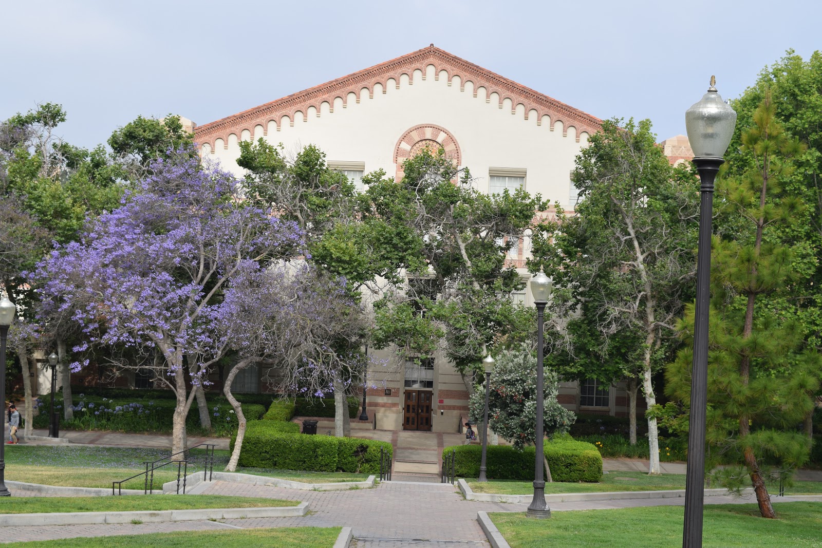 Travel for a Purpose: UCLA Campus around Election Walk Area