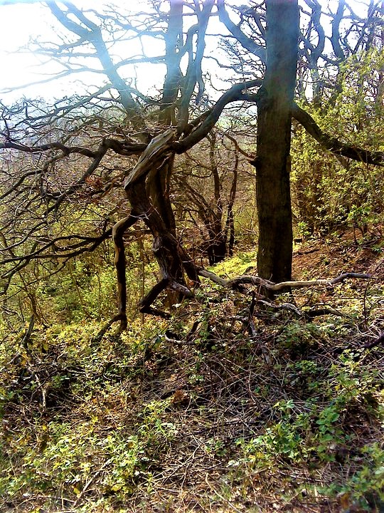 Trev Teasdel Photography: There's Iron in Them Hills - Quarry Great Ayton