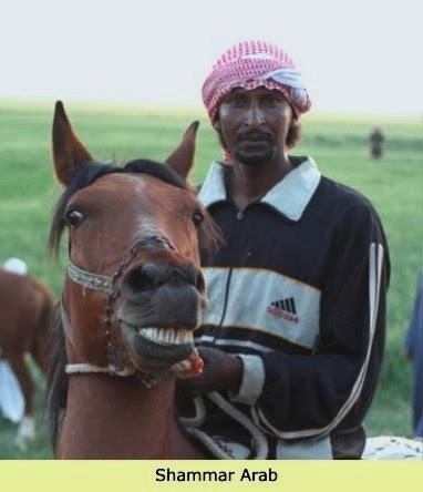 Afro-Asiatica: An Odyssey in Black: KING SOLOMON'S MINERS - PART III ...