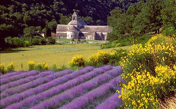 La Vie Est Belle: Wish list: "la Provenza francesa"