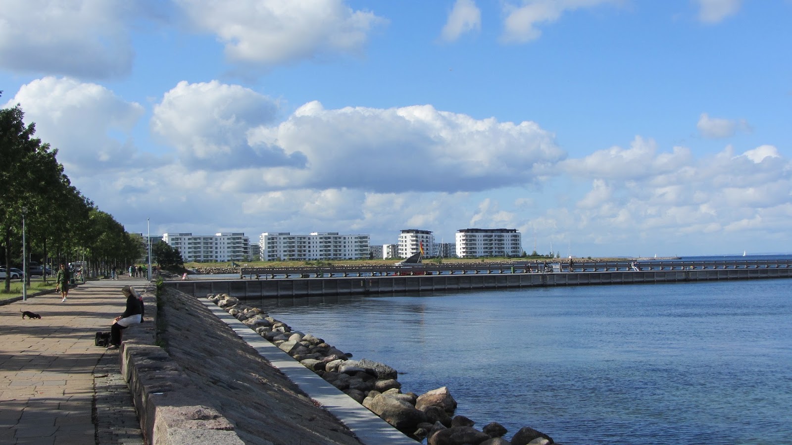 Copenhagen: Tuborg Havn Hellerup via Svanemøllen Strand 29. Juni 2013