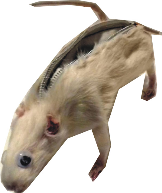 Dead rats turned to pencil cases by a Plymouth student - Briggs' blog