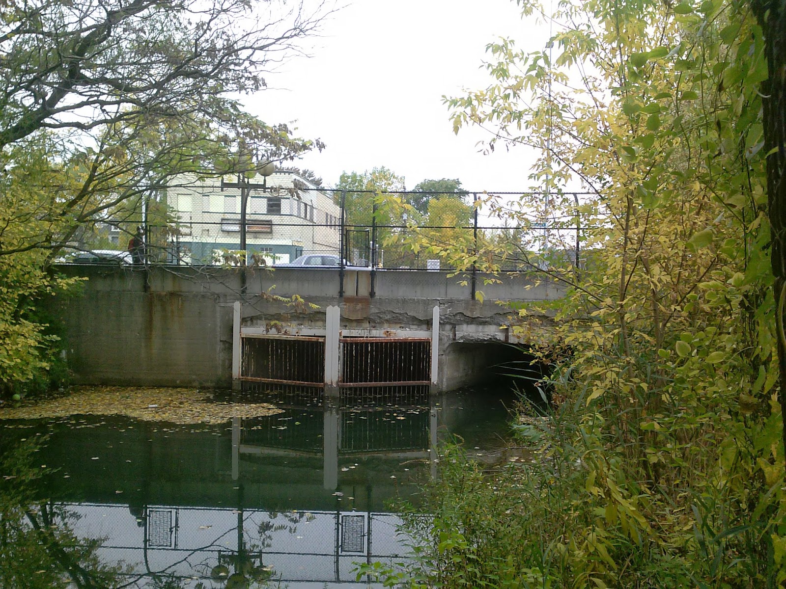 A Detroit Architect's Journal: Eastside Venice: The Fox Creek Canals