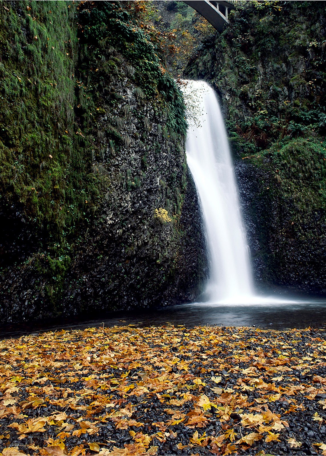 Şelale Ve Akarsu Resimleri: Şelale Resmi 31