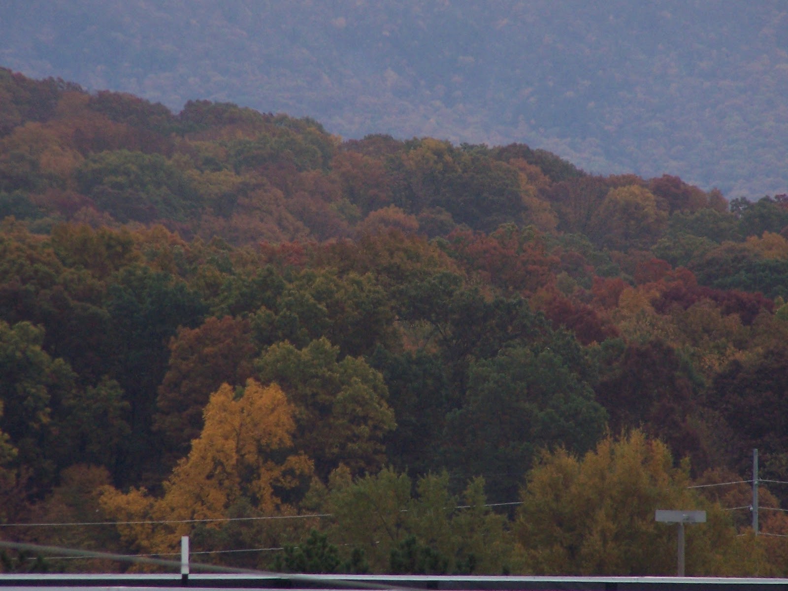 My Family Excursions: Beauty of Fall Colors