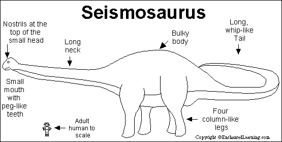 Seismosaurus | BIOLOGIPEDIA