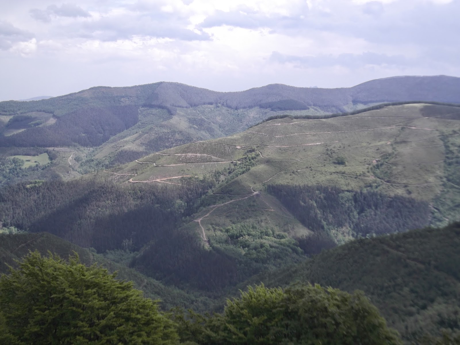 MUGARRIAK: LEITZARAN BASOA