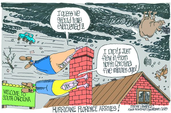 Theo Spark: Cartoon Round Up....