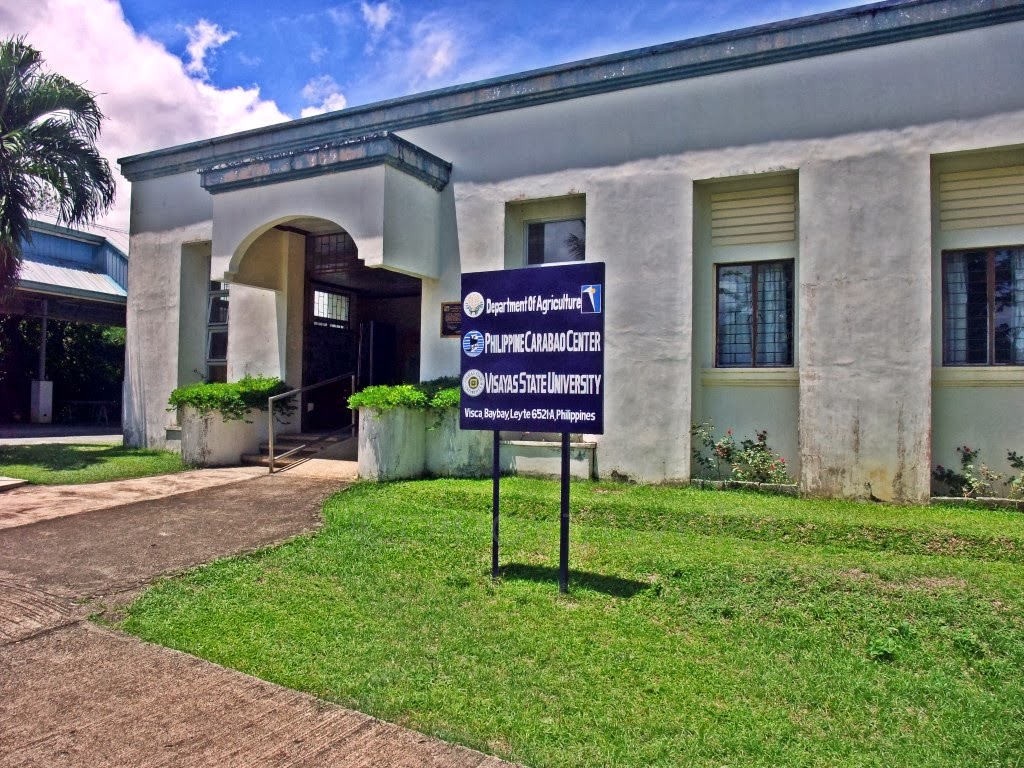 Philippine Carabao Center at VSU