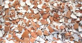 Kuidas munakoori aias kasutada? - Kodused lood