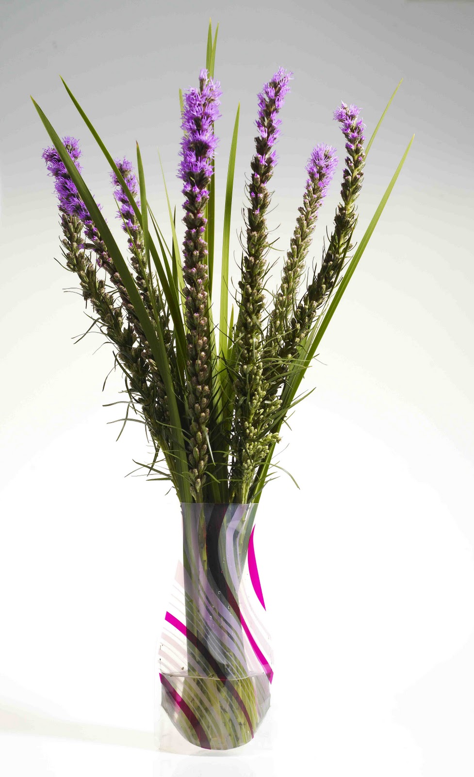 ArmaZém da Flor: VAZU - novo conceito de ......