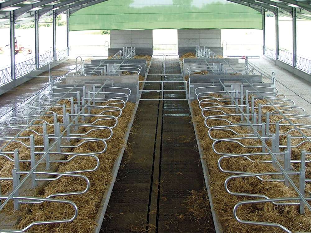 Stalla per bovine da latte a stabulazione libera