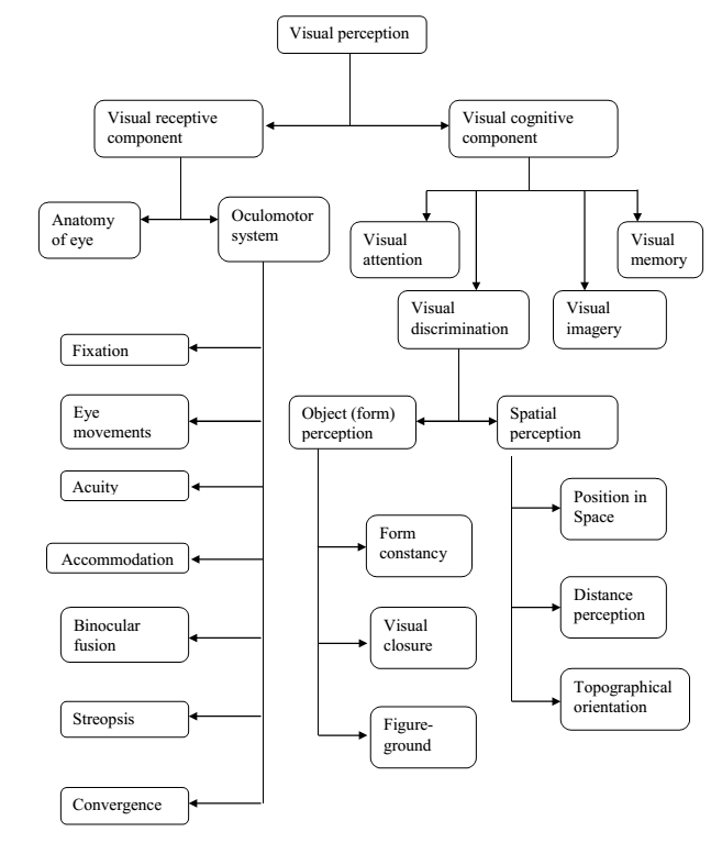 The Times of Rehabilitation: Visual Perception - what it exactly is?