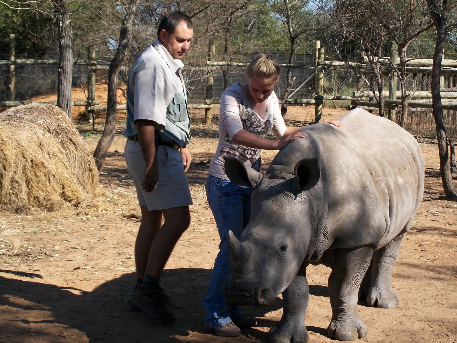 Zenobia : Tour guide and Nature Conservation: CAPTIVE ANIMAL CARE: