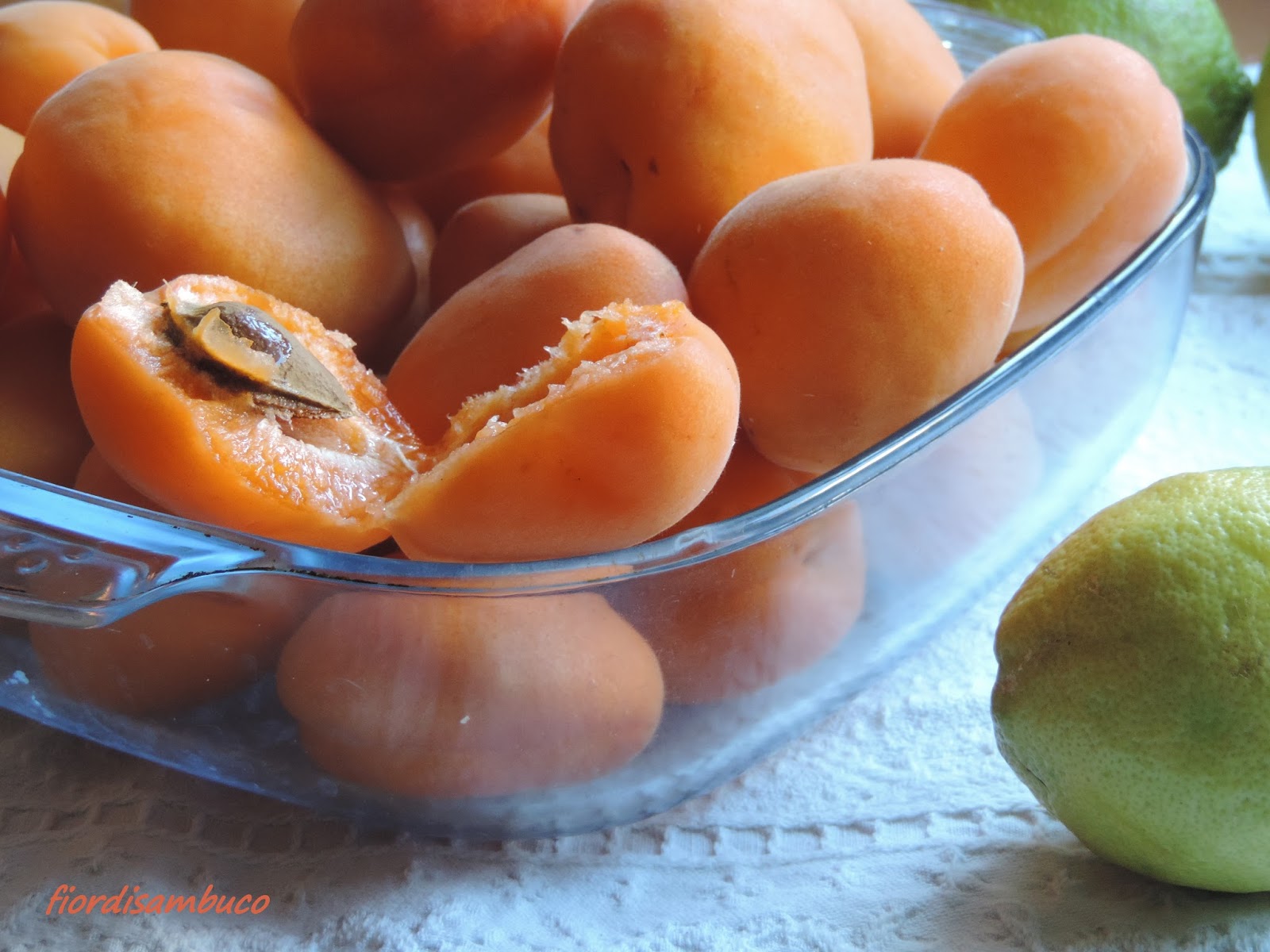 Fior di sambuco: Piccole follie color albicocca