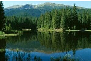 Moor Mud: WHAT IS MOOR MUD?