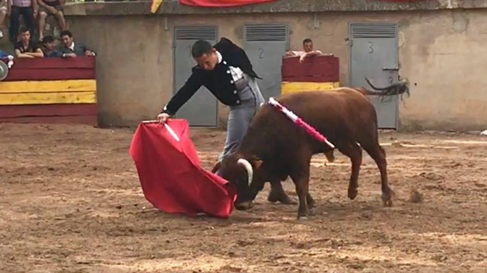 TORERIAS DE CHELIN: CHIBOLO DE LIMA TRIUNFA EN MONTEAGUDO DE LAS ... TORERIAS DE CHELIN: CHIBOLO DE LIMA TRIUNFA EN MONTEAGUDO DE LAS ...