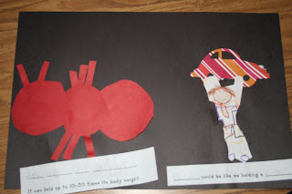 Mrs. Lee's Kindergarten: Bugs, Bugs, Bugs!