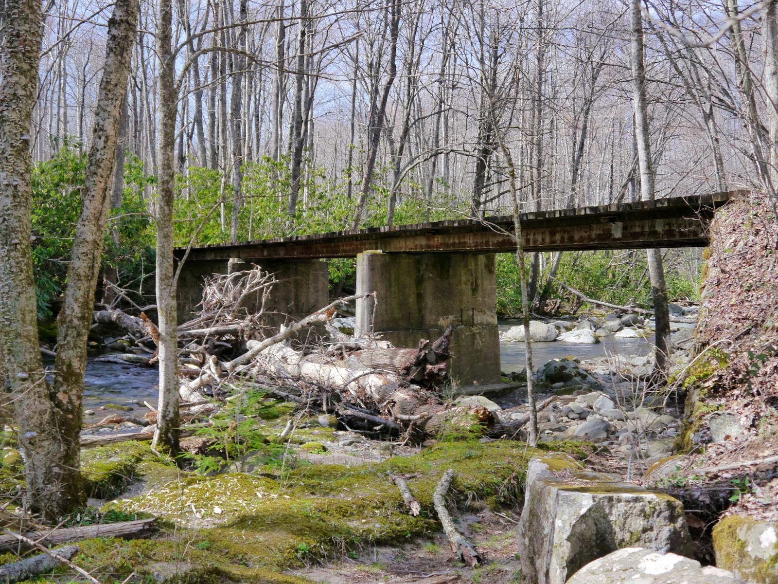 American Travel Journal: Little River Trail to Goshen Prong Trail ...