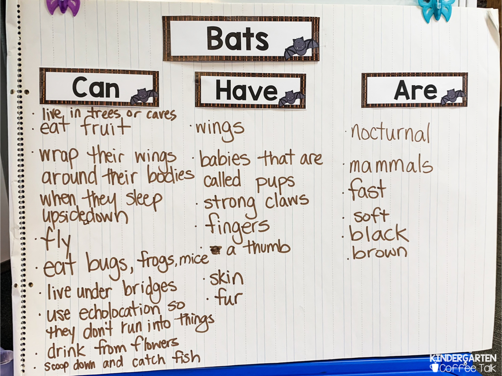 Kindergarten Coffee Talk: Nocturnal Animals Research Project