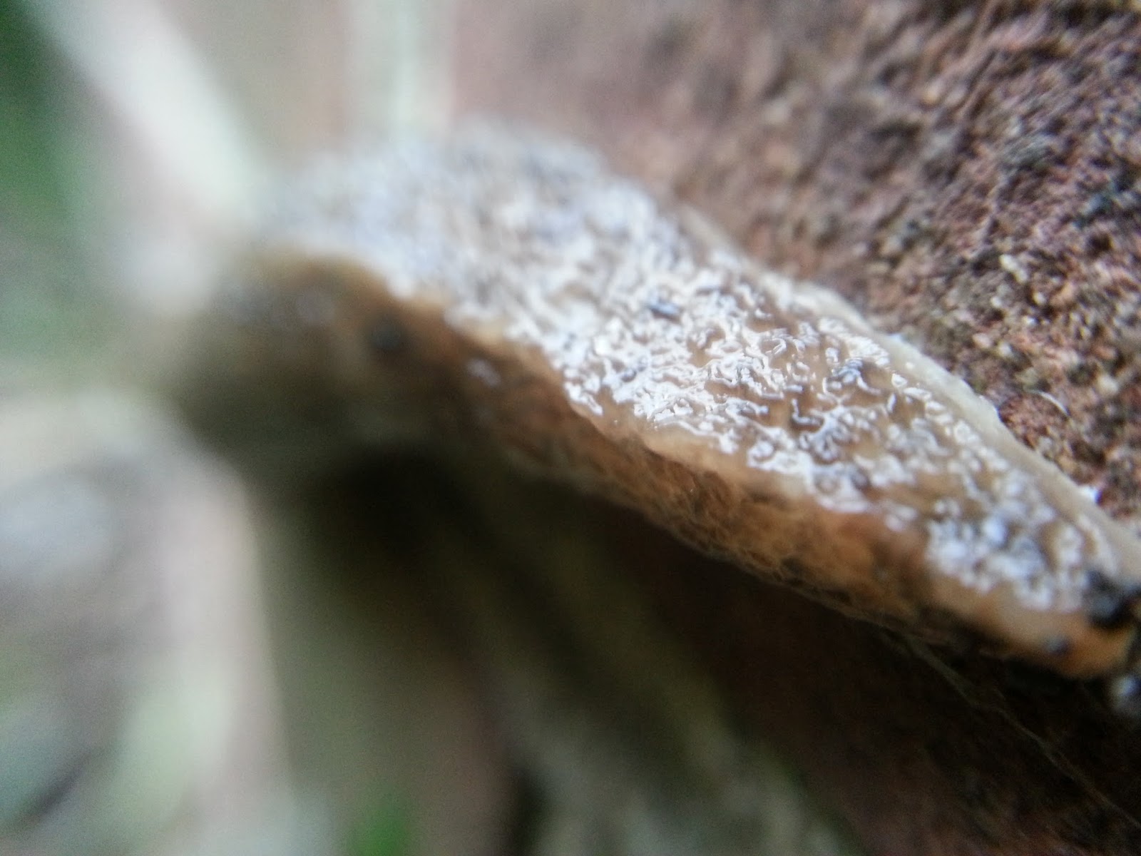 Ben's Journal: Feeling Sluggish