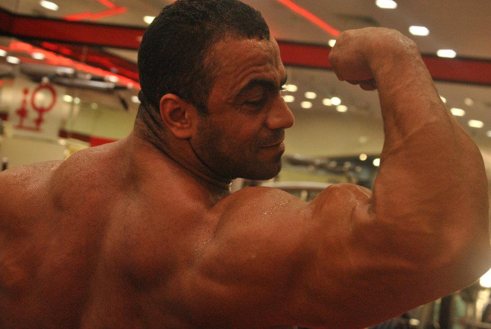 Muscle Lover: Essam El Sayed