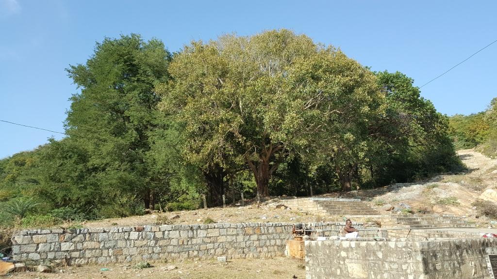 Tamilnadu Tourism: Vaaleeswarar Temple, Ramagiri – The Temple