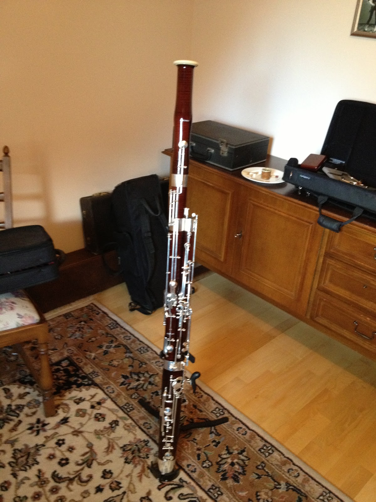 music matters-bassoon