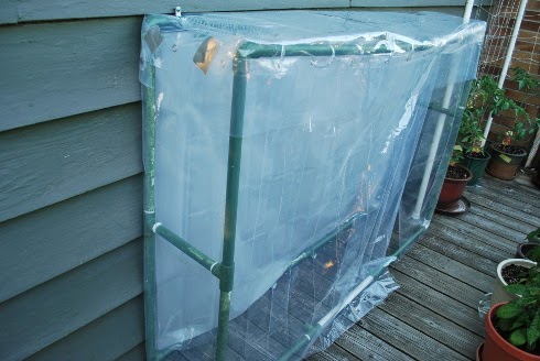 House InsideOut: Building a Hot (Pepper) House