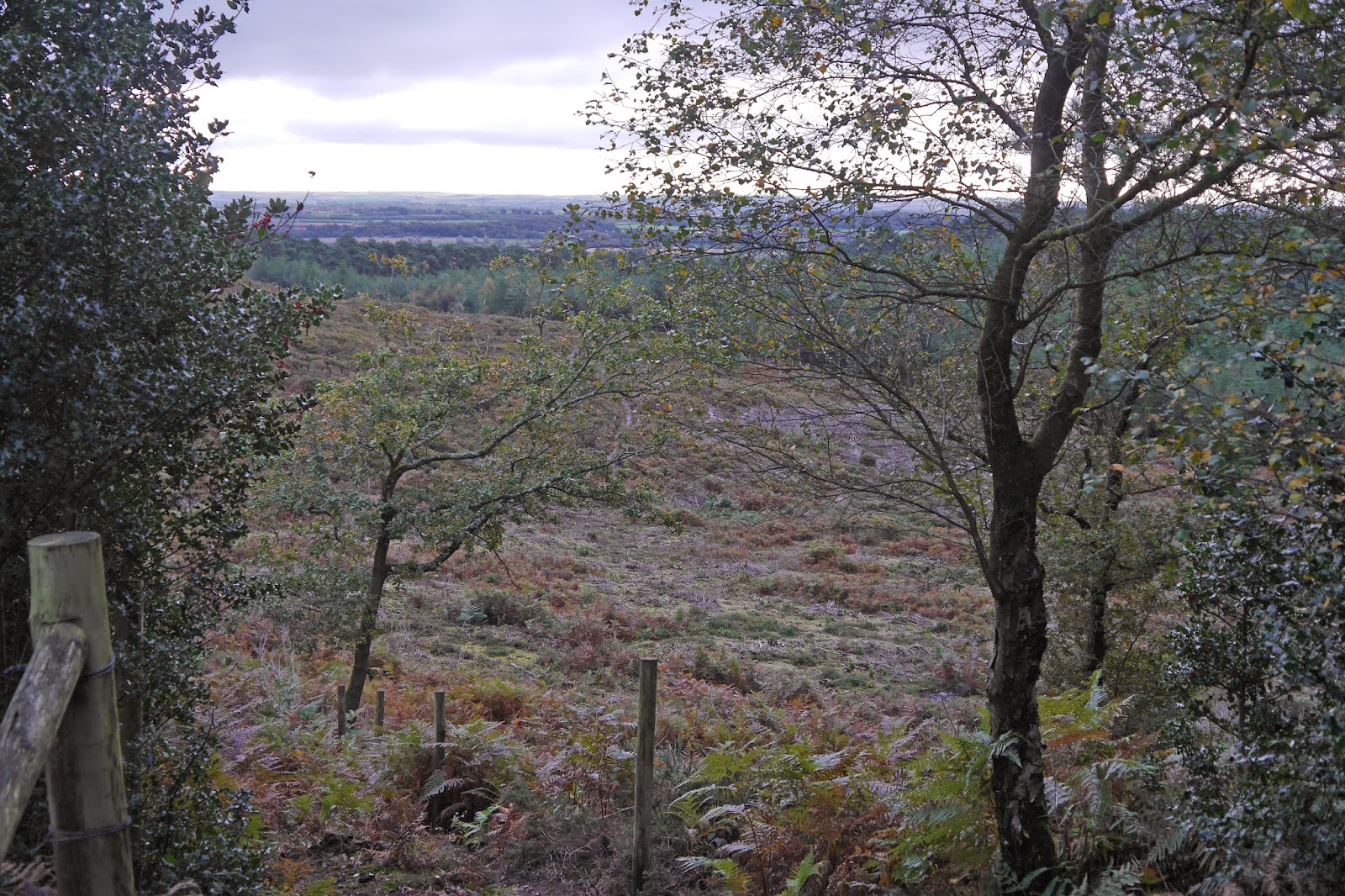 Walking in the country: Higher Bockhampton