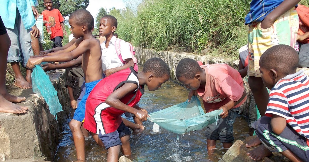 TANGA KUMEKUCHA: TUNAVUA KAMBARE