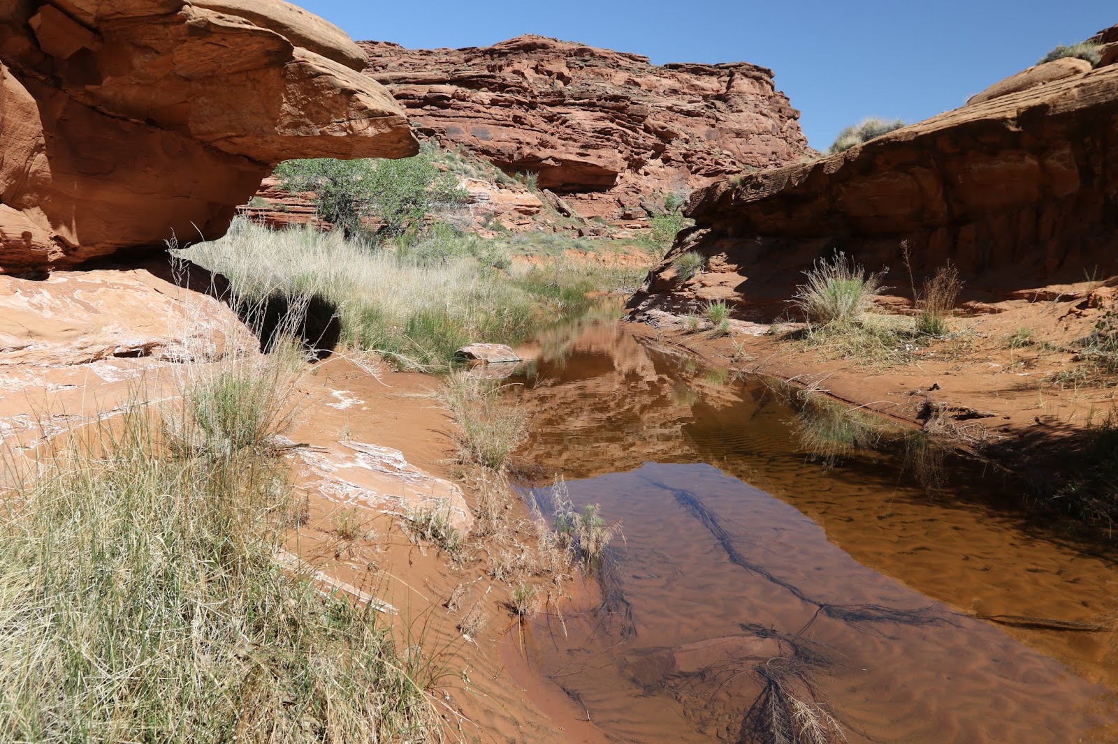 gjhikes.com: Butler Canyon