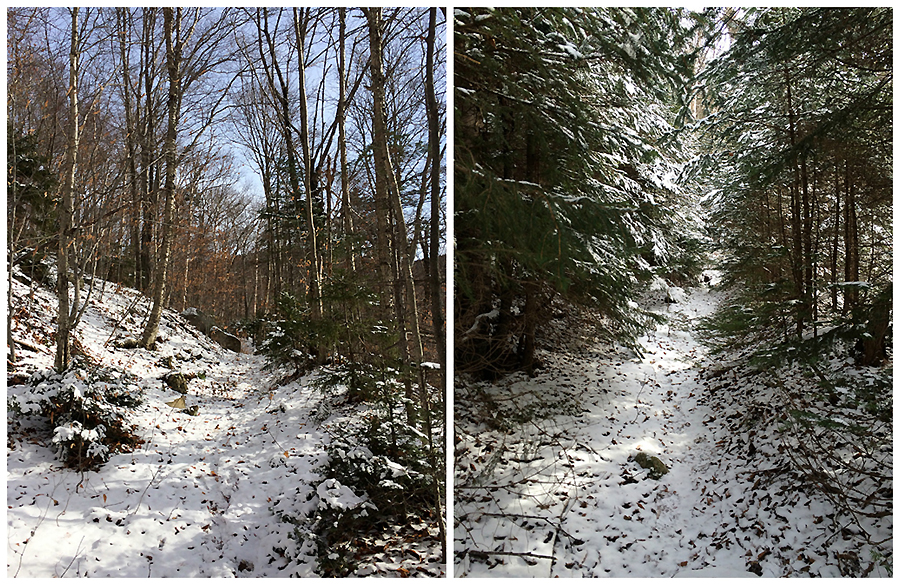 Hiking in the White Mountains: Livermore Pass and the Old Town of ...