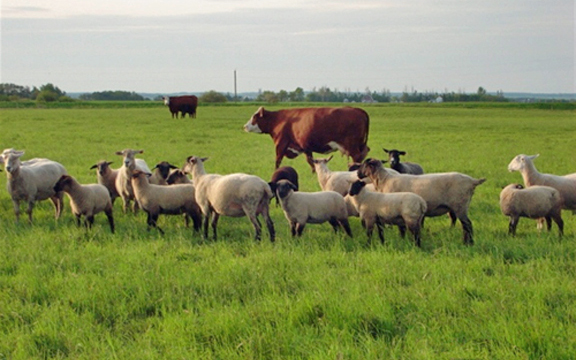 Power over Time Space and Matter: THE WORTH OF A BRIDE IS HER DOWRY