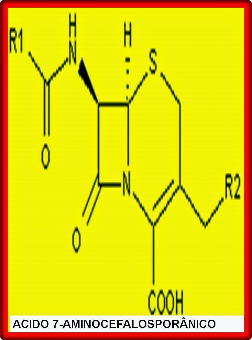 FARMÁCIA BRASILEIRA: ANTI - INFECTANTES - ANTIBIÓTICOS - CEFALOSPORINAS