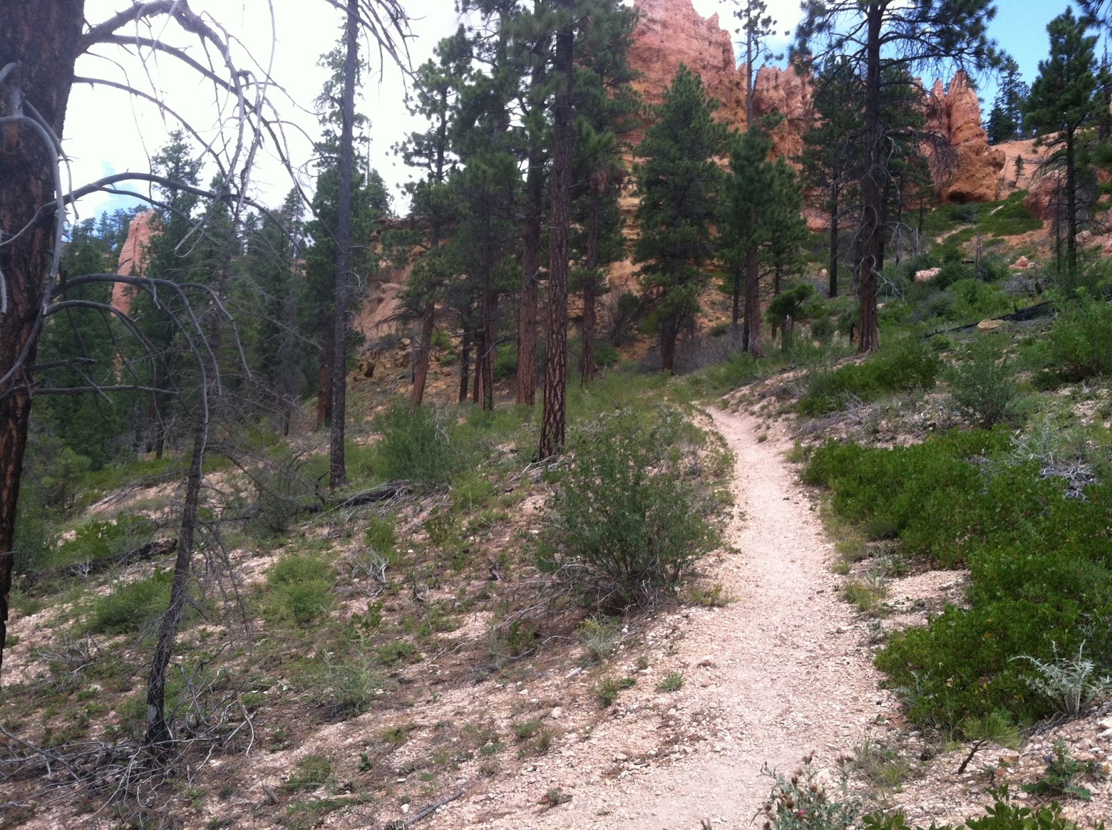 Myatt's Hikes: Sheep Creek and Swamp Canyon Connector Trail Loop, Bryce ...