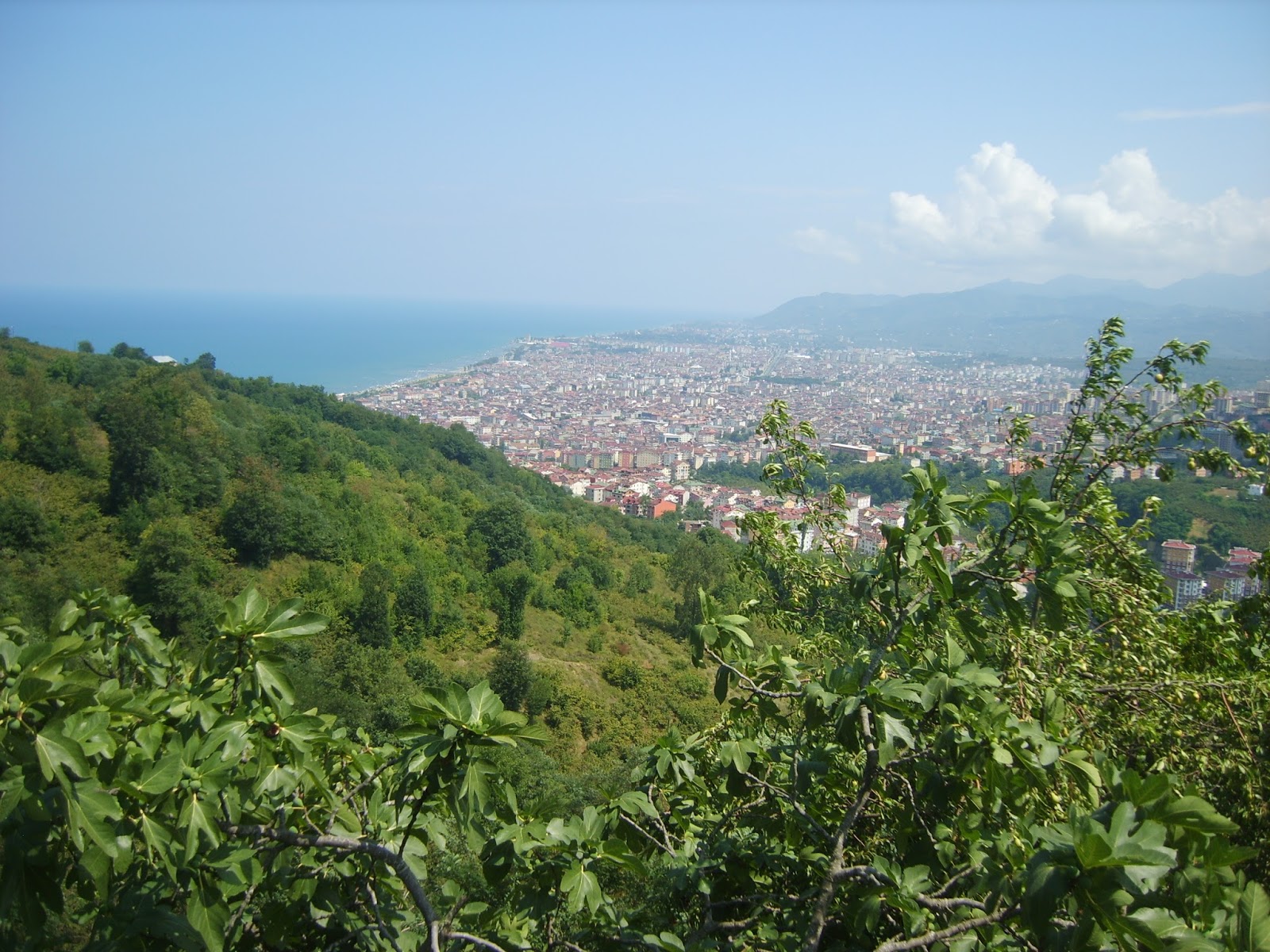 ORDU ORDU BOZTEPE: NİZAMETTİN MAHALLE KOMŞULARIMIZ VE ORDU ŞEHRİNDE ...