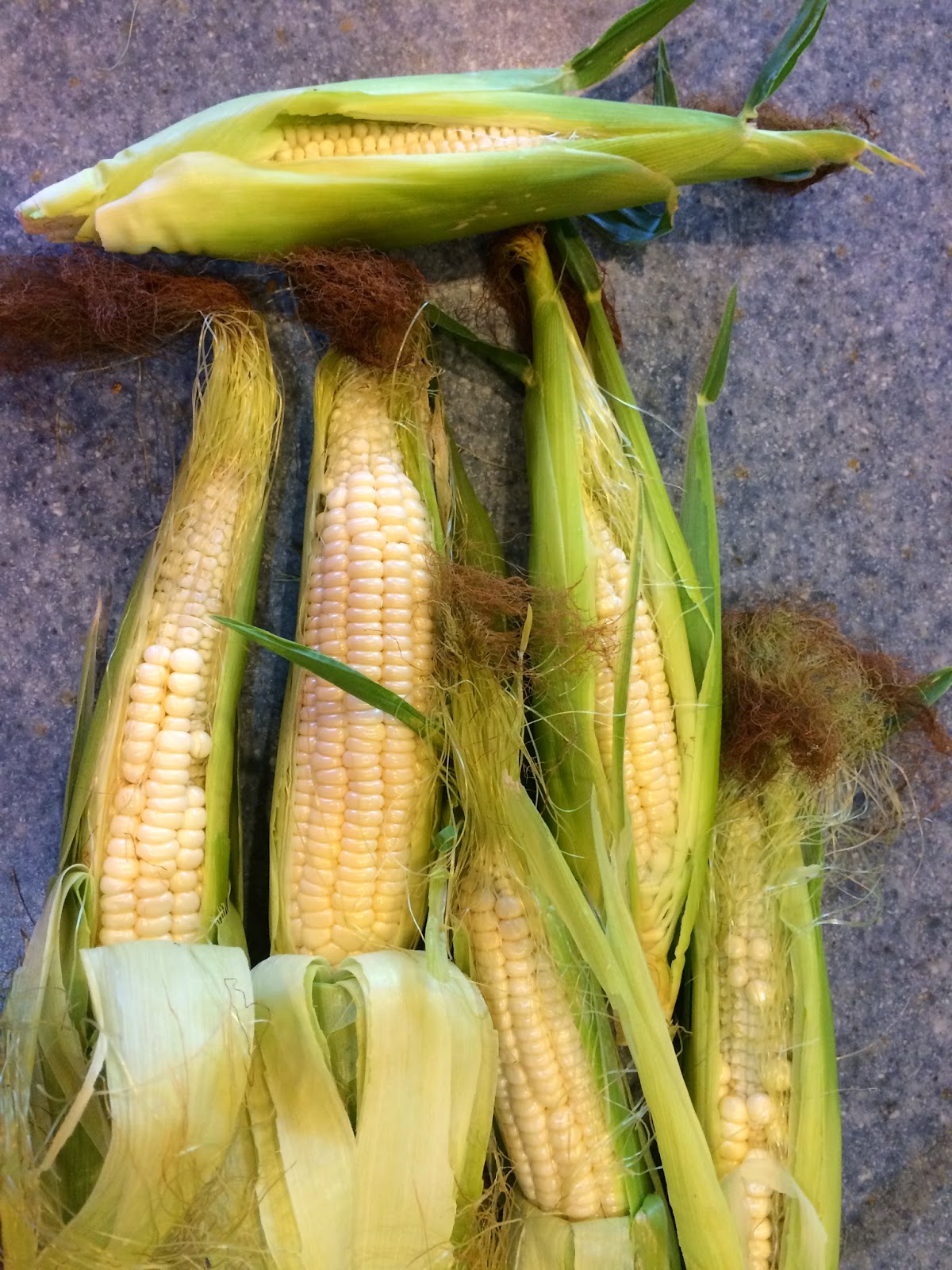 Arizona Backyard Eden: A harvest of fallen corn