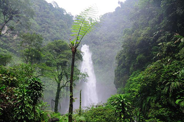 BanyumasTourist And Travel Destinations: Curug Cipendok, The Other Side ...