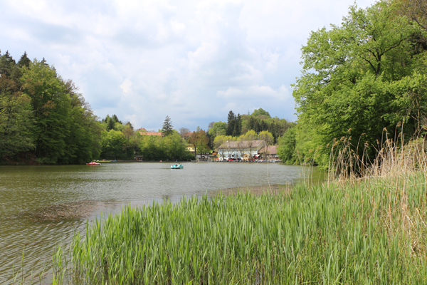 Zum Thalersee und zurück...